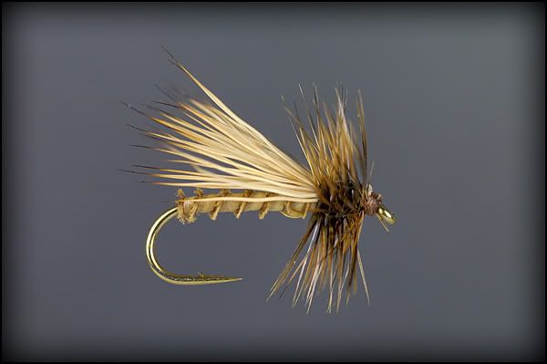 What's your favorite Mother's Day Caddis pattern? - Drake Magazine Online